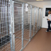 Custom Dog Kennels & Dog Boarding Kennels