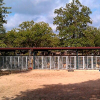 Custom Dog Kennels & Dog Boarding Kennels
