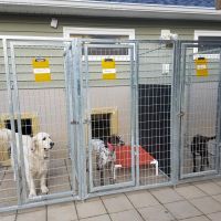 Custom Dog Kennels & Dog Boarding Kennels